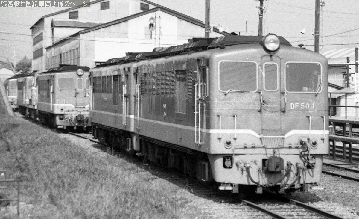 DF50 1 の画像です